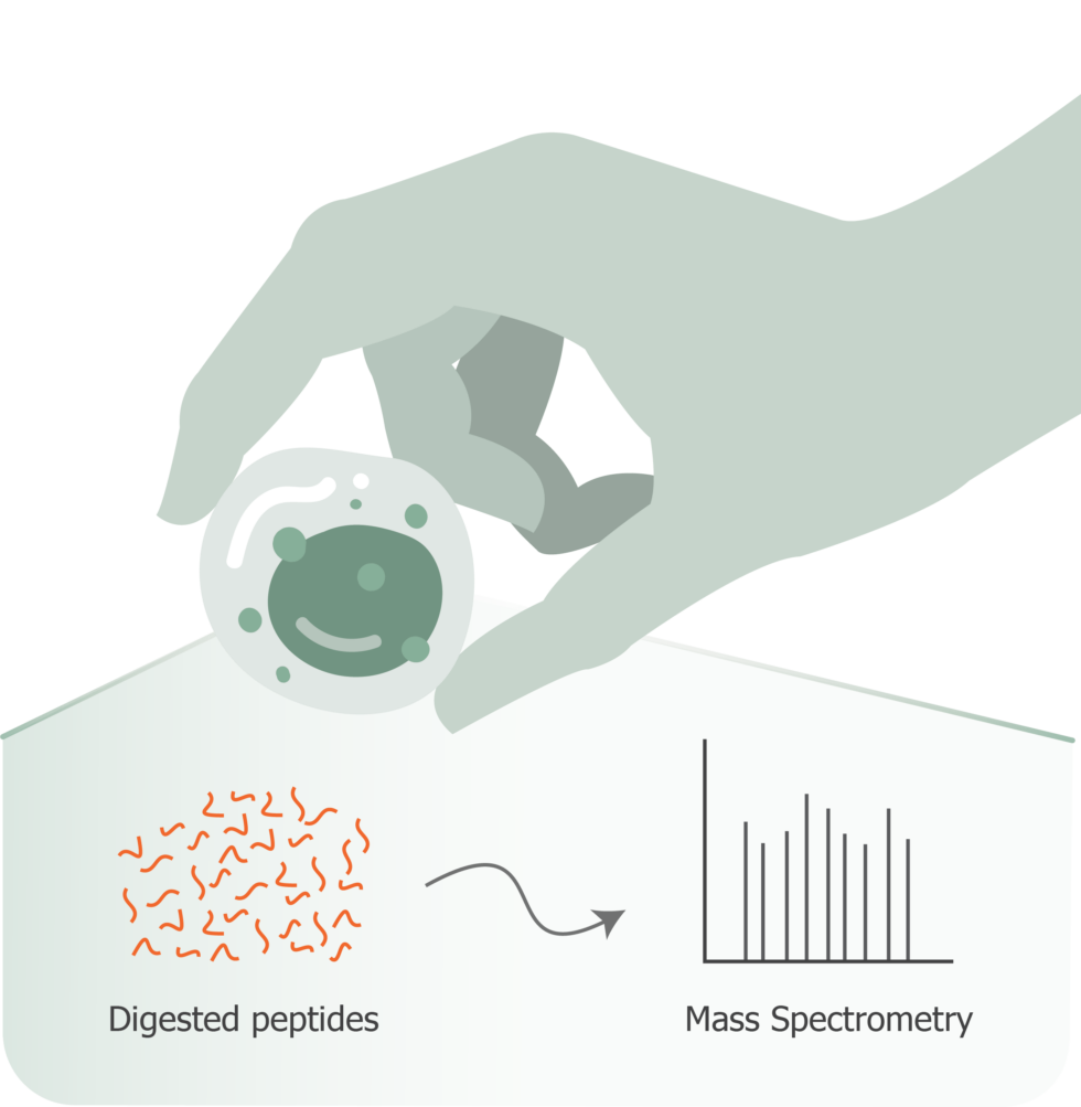 Whisper Zoom 120 SPD: Pushing boundaries for scalability with high ...